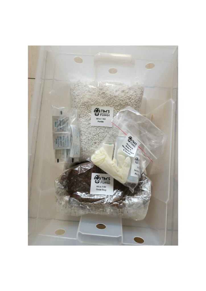 All In One Grow Kit - Tim's Fantastic Fungi
