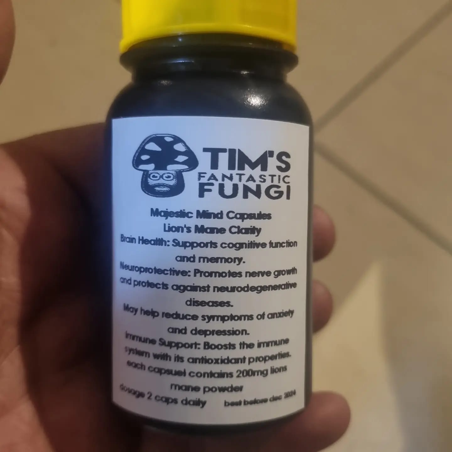 Majestic Mind Capsules (Lions Mane) - Tim's Fantastic Fungi